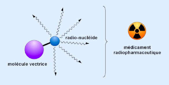 Foire aux questions | Nucleanord